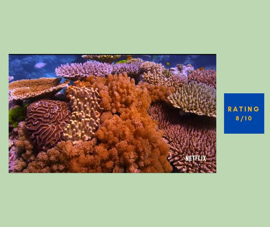 Chasing Coral by Jeff Orlowski [8/10] – Read Listen Watch